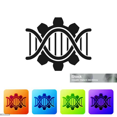 검은 유전 공학 아이콘 흰색 배경에 고립 유전자 분석 유전학 검사 클로닝 친자 확인 검사 색상 사각형 버튼에 아이콘을 설정 합니다 벡터 일러스트 Dna에 대한 스톡 벡터