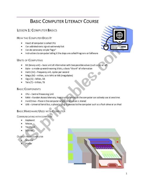 basic computer literacy course esl worksheet by moodymoody
