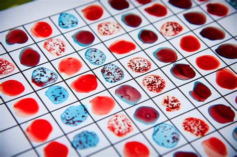 Why Do We Have Different Blood Types A Look At Evolution And Inheritance Stanford Blood Center