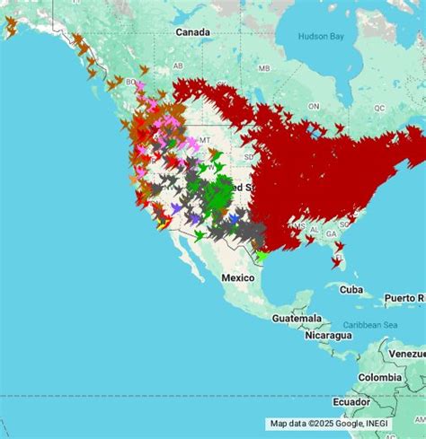 Hummingbird Migration Maps South America