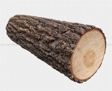 Wood Logs Texture 17405