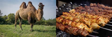 Angular Cli Camelcase Or Kebab Case By Todd Palmer Angular In Depth Medium