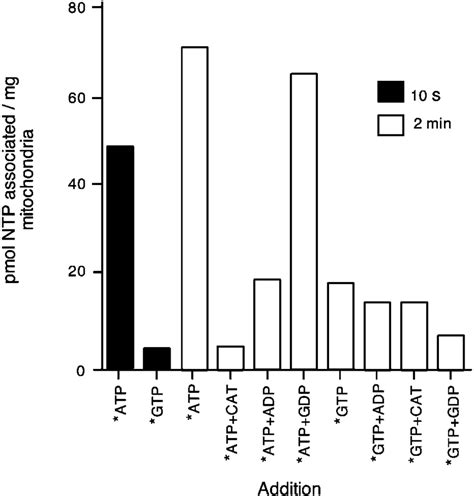 Compared With ATP GTP Is Not Readily Taken Up By Mitochondria Where Download Scientific