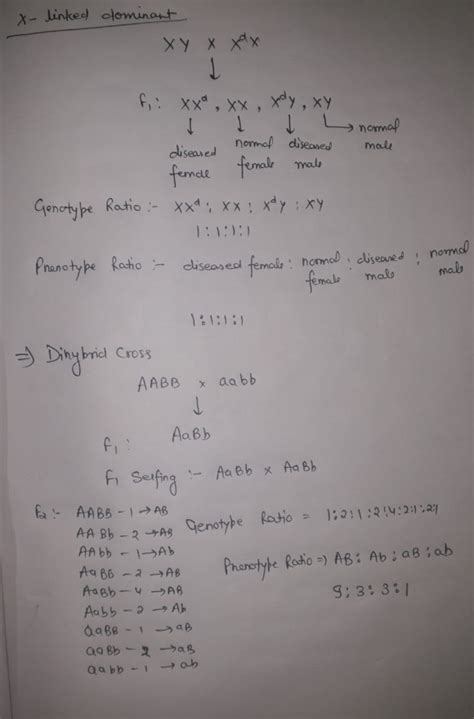 Draw Punnett Squares For A Monohybrid Cross A Sex Linked Cross And A Dihybrid Cross Give The