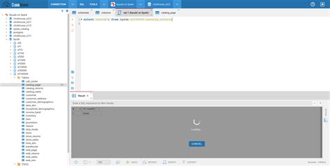 Subtask Add Excludedatabases For Tpc Ds Catalogs · Issue 2759