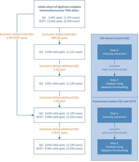 Schematic Analysis Workflow Schematic Visualisation Of The Analysis Download Scientific