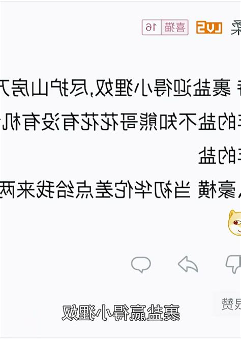 捡来的流浪黑猫喜获台湾小姐姐领养，还寄来了一大箱 聘礼” 西瓜视频 046 Youtube