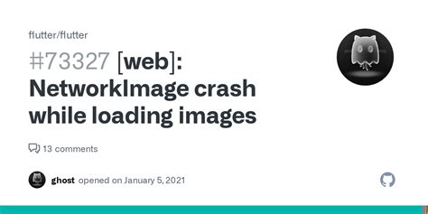 Web Networkimage Crash While Loading Images Issue Flutter