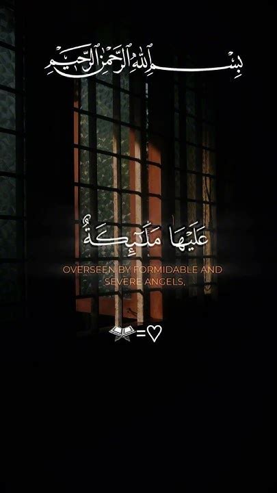 يَا أَيُّهَا الَّذِينَ آمَنُوا قُوا أَنفُسَكُمْ وَأَهْلِيكُمْ نَارًا Quran قرآن تلاوات