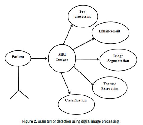 Health Medical Informatics Tumor Detection