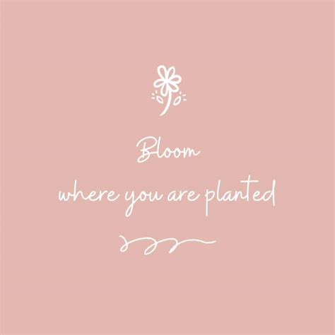 How To Make Soju Yakult Sprite Cocktail [easy Mix] Soju Yakult Sprite Sojuyakultsprite