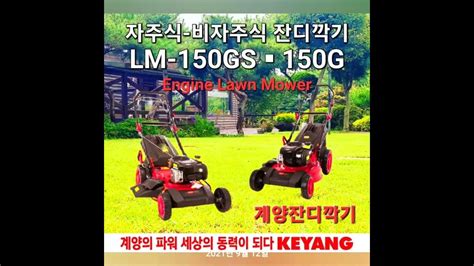 잔디깍이 자주식 비자주식 잔디 잔디깍기 벌초 예초기 제초작업 정원 Keyang 전원주택