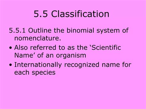 Classification Ppt