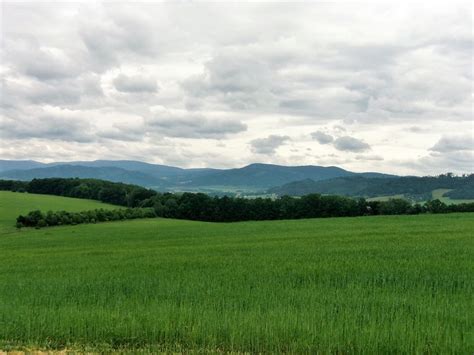 Vrch Brusná Médium Cz