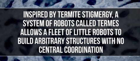 kunal bindra on linkedin natureinspiredinnovation biomimicrymagic ecoinnovation