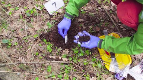 Soil Contamination Test Reveal A Surprise Heres What To Do