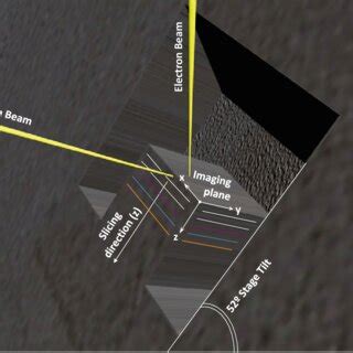 6 Illustration Of Serial Sectioning With A FIB SEM Dual Beam System Download Scientific Diagram