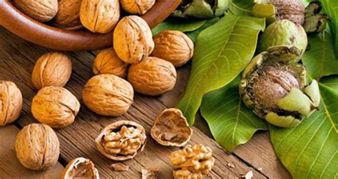 7 продуктів для підвищення розумових здібностей Читайте на Ukr Net