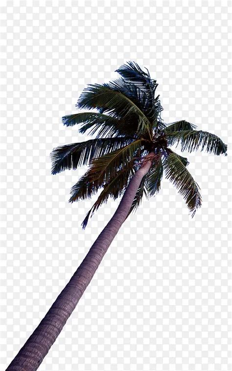 Png Png