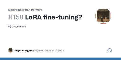 LoRA Fine Tuning Issue Lucidrains X Transformers GitHub