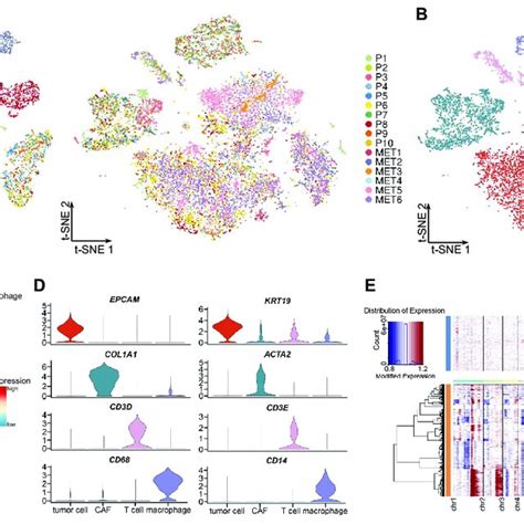 Analysis Workflow For Pancreatic Ductal Adenocarcinoma Pdac Data Download Scientific Diagram