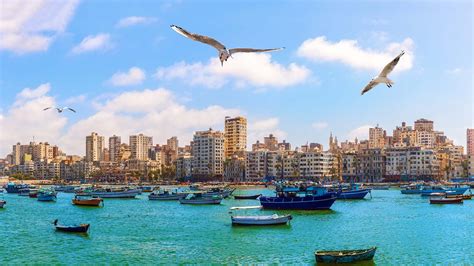 Tigrinya Interpreting Services | Prestige Network