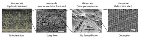 Different Length Scale Of Pore Network And Gas Flow In Shale Based On Download Scientific