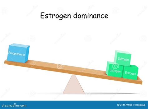 Estrogen Progesterone And Aging Vector Illustration Cartoondealer