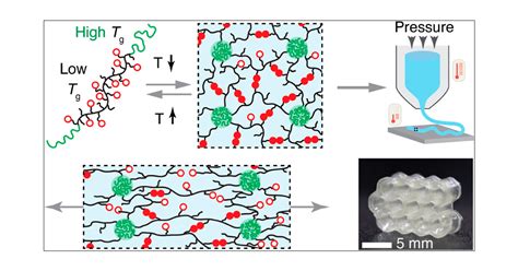3d Printable Modular Soft Elastomers From Physically Cross Linked Homogeneous Associative