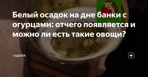 Белый осадок на дне банки с огурцами отчего появляется и можно ли есть такие овощи садоёж Дзен