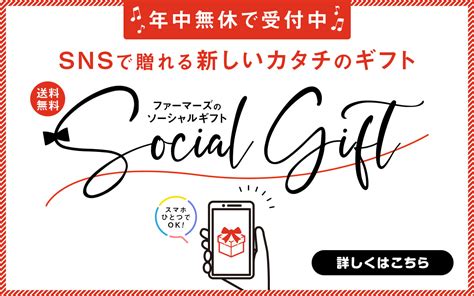 【期間限定15off｜カミチクオリジナル】薩摩牛 すね肉の赤ワイン煮込み 200g×2｜新鮮・安全！牛ユッケやこだわりのお肉を産地直送｜カミ