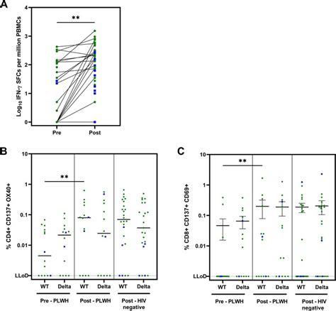 Cellular Immune Responses Against Sars Cov 2 In Subgroup Participants Download Scientific