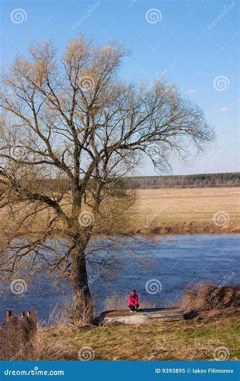 Naked Trees Stock Image Image Of Autumn Country Tree