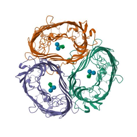 Rcsb Pdb 1a0t Sucrose Specific Porin With Bound Sucrose Molecules