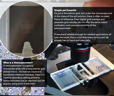 A Hemocytometer Is A Simple But Powerful Tool Its A Precise