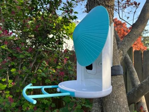 The Best Camera Bird Feeder For Backyard Birdwatching NETVUE Birdfy Review HGTV