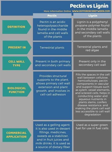 Pectin Vs Lignin Tabular Form String Theory Molecular Theories