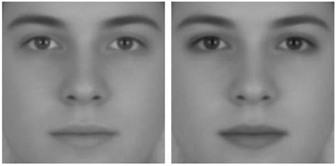 Our Perception Of Sex Macmillan Teaching Community 5886