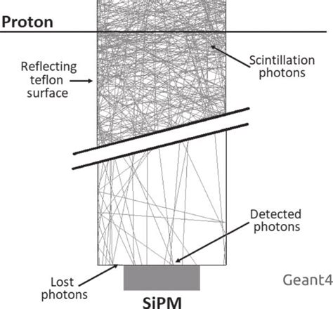 Simulated Optical Photons Produced Via Scintillation Inside A Pvt Download Scientific Diagram