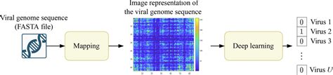 Sars Cov 2 Virus Classification Based On Stacked Sparse Autoencoder