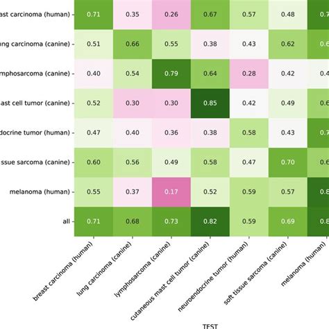 Domain Matrix For Single Domain Training Matrix Entry Mi J Is The