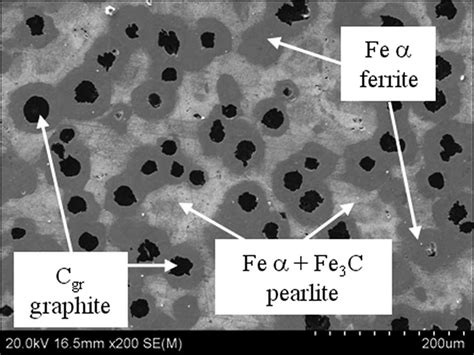 Se Image Of The Microstructure Of The Base Alloy Which Is Ductile Iron Download Scientific