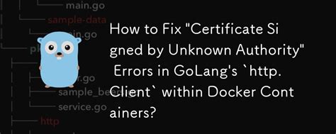 如何修復 Docker 容器中 Golang 的 `client` 中的「憑證由未知機構簽署」錯誤？ Golang Php中文網