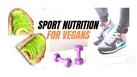 Sports Nutrition For Vegans Visual Ecogreenlove