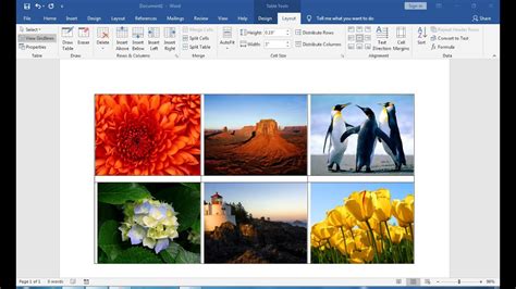 How To Insert Sequential Numbers In Word Table Free Worksheets Printable