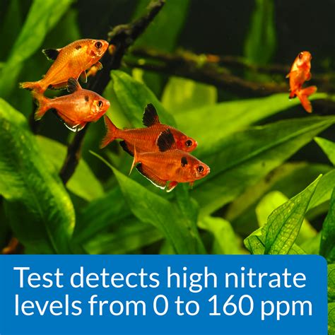 Api Nitrate Test Kit Complete 90 Tests Freswater Saltwater