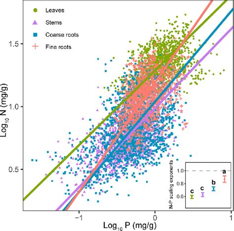 The N Vs P Scaling Exponents In Leaves Stems Coarse Roots And Fine