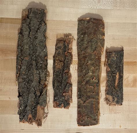 Premium Tree Bark Beautiful For Art Craft Projects Etsy