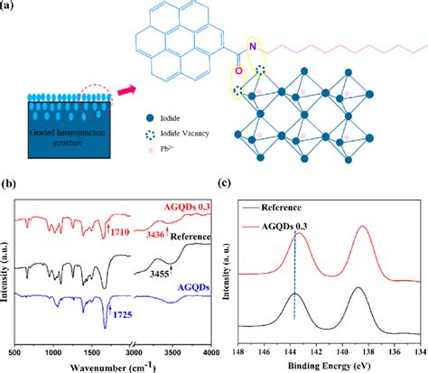 Schematic Of Passivation Mechanism Of The Perovskite Film By The Graded Download Scientific