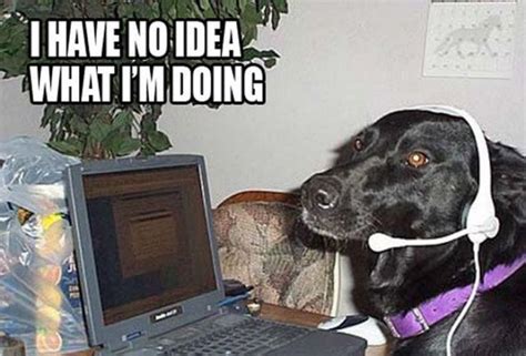I Have No Idea What Im Doing” Meme 20 Pics Picture 19